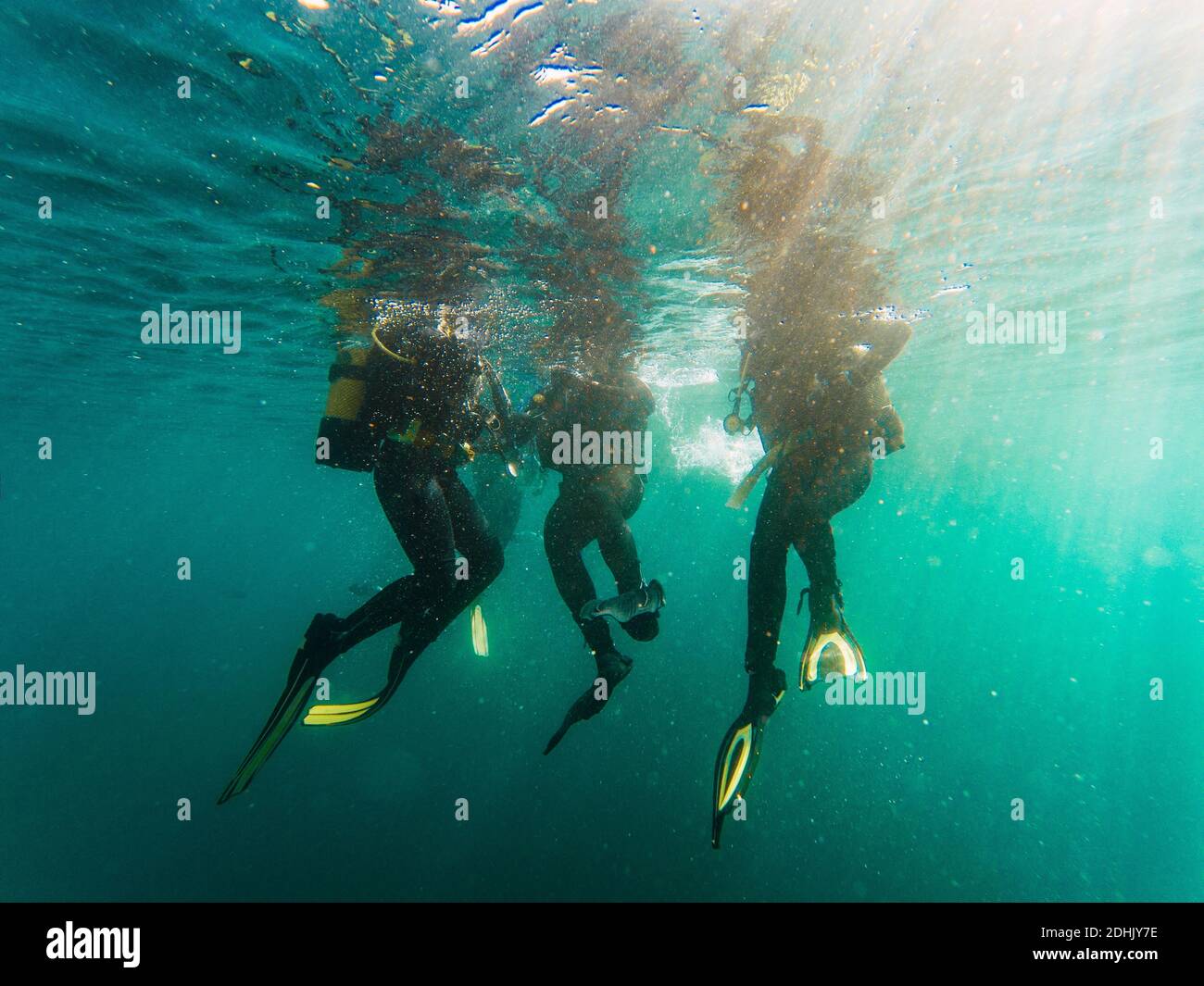 Cropped unrecognizable divers scuba diving in deep ocean Stock Photo ... Cropped unrecognizable divers scuba diving in deep ocean Stock Photo ...