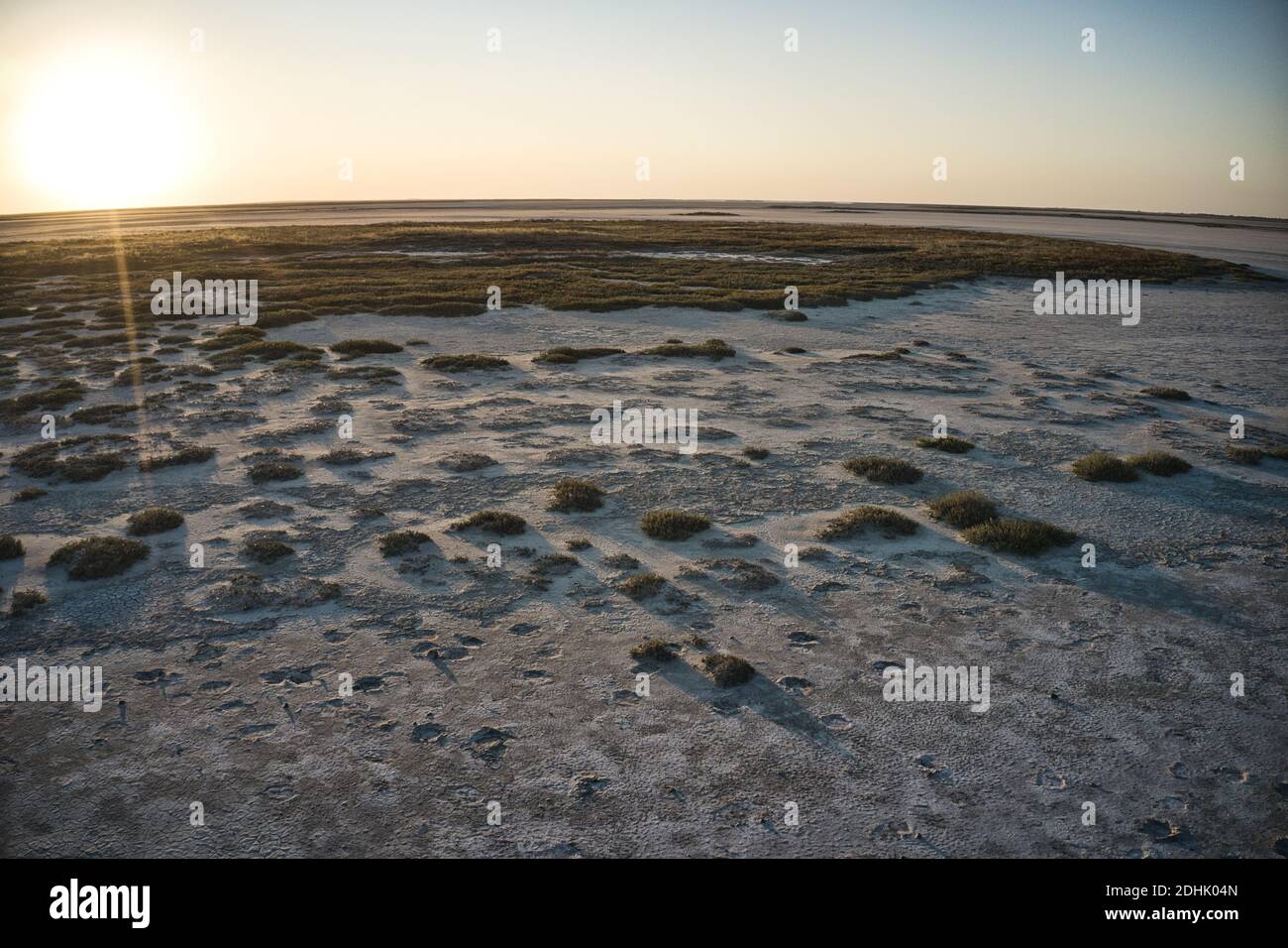 Top view of a sandy swamp with large patches of grass and bushes Stock ...
