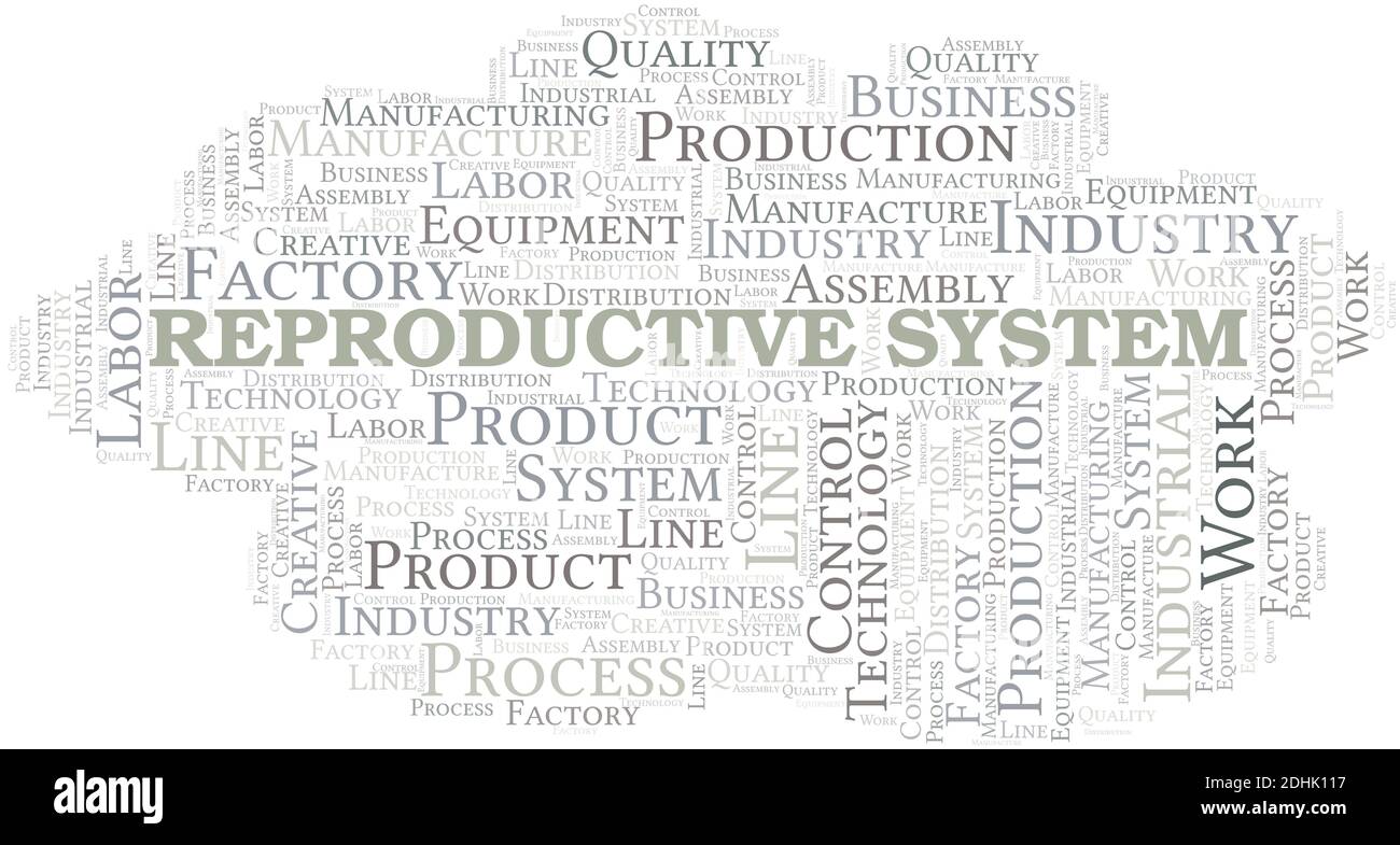 Reproductive System word cloud create with the text only Stock Vector ...