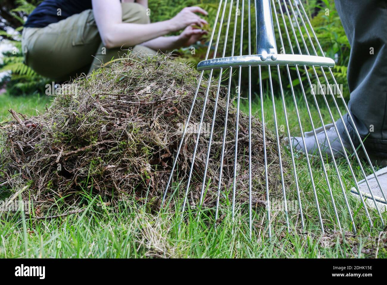 Raking mown grass rake hi-res stock photography and images - Alamy