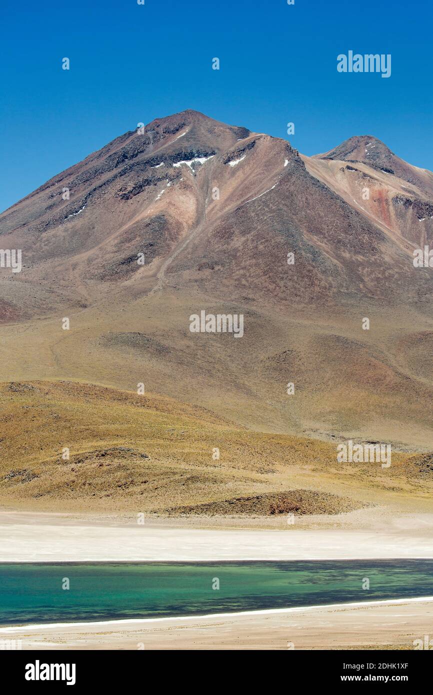Volcano Miniques rises above the coiron grasslands of the altiplano ...