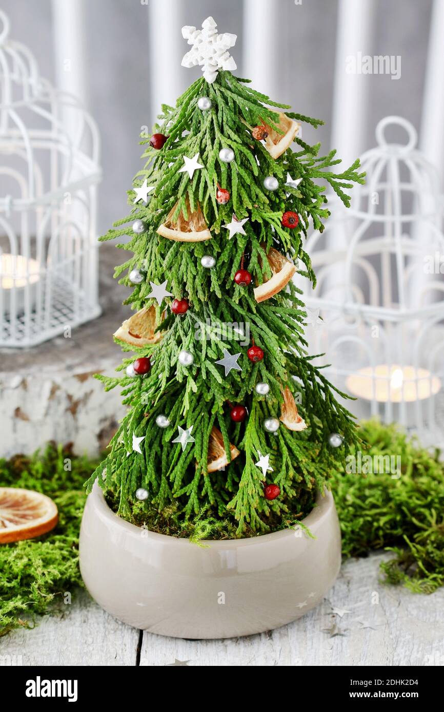 Florist at work: How to make beautiful Christmas decoration in fir ...