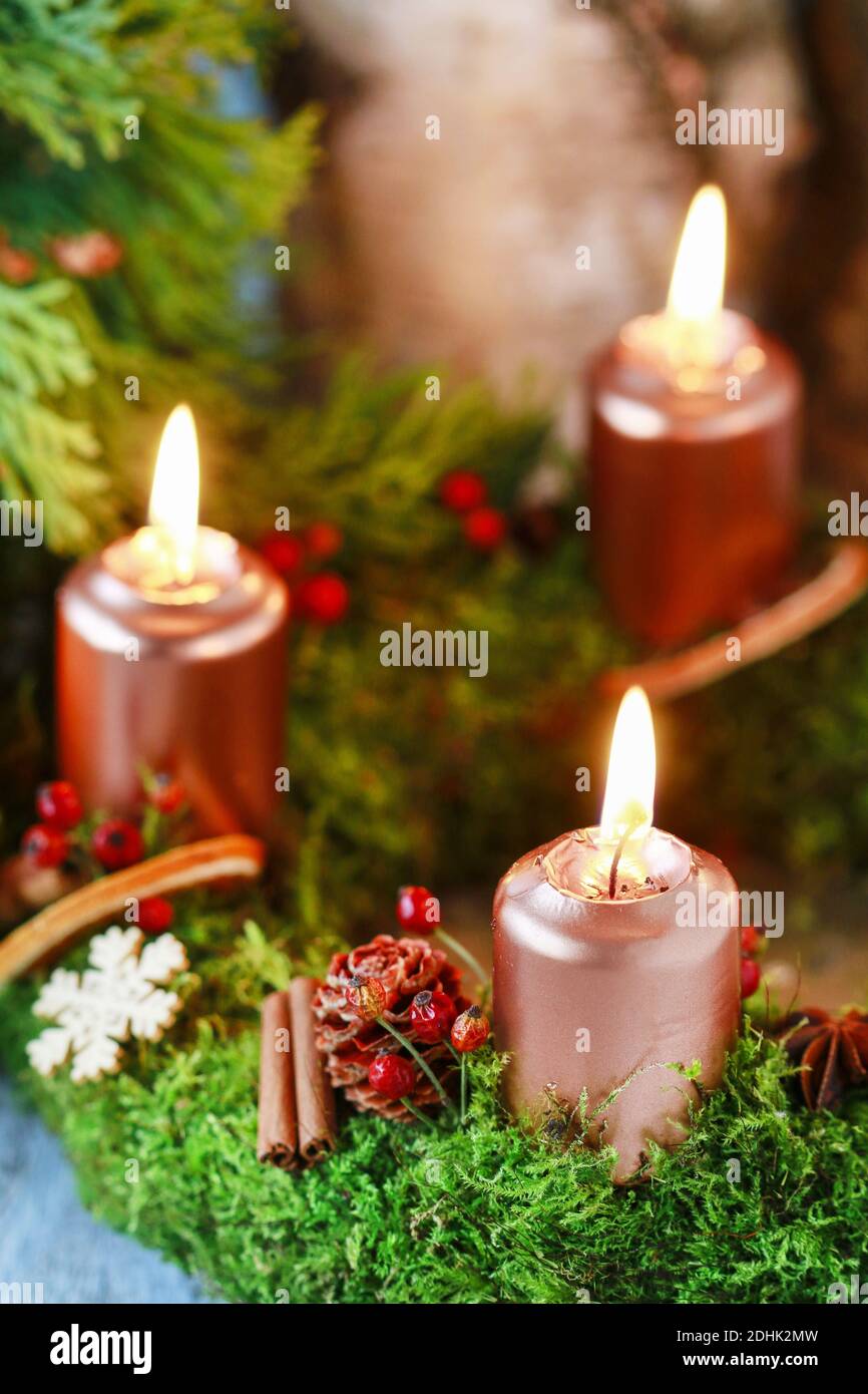Advent wreath made of moss, cinnamon sticks and rosa canina twigs ...