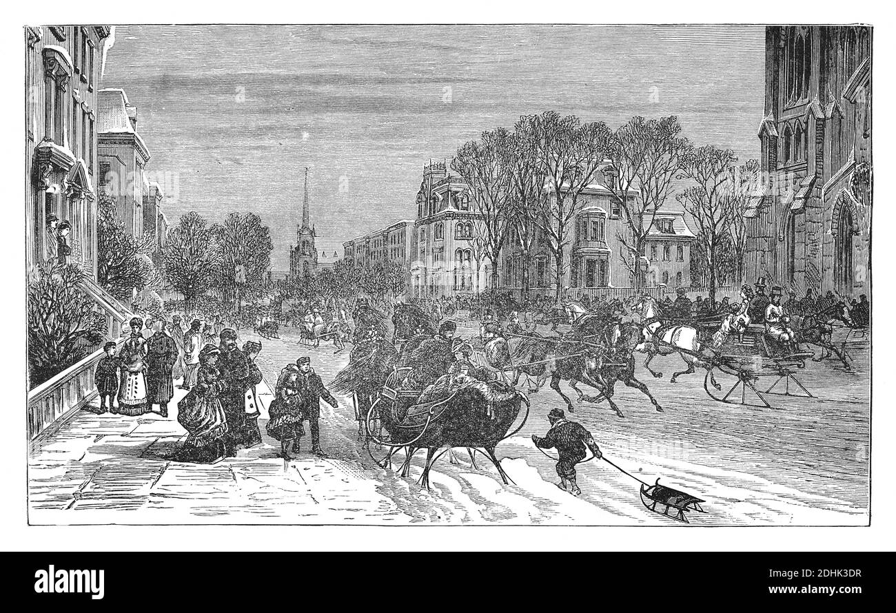 Large horse structure Cut Out Stock Images & Pictures - Alamy