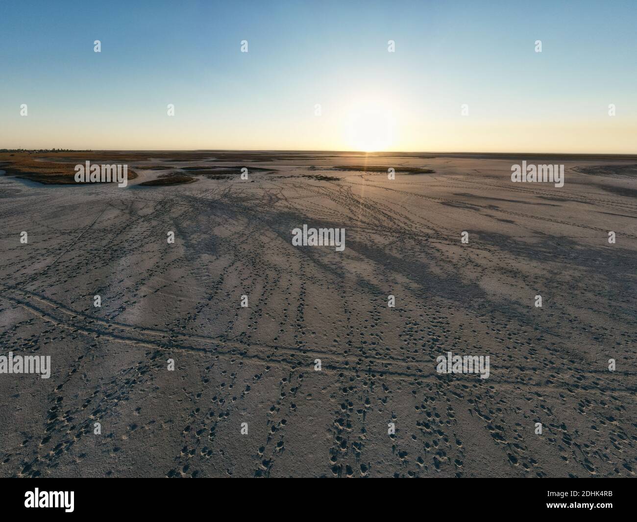 Top view of a sandy swamp with large patches of grass and bushes Stock ...