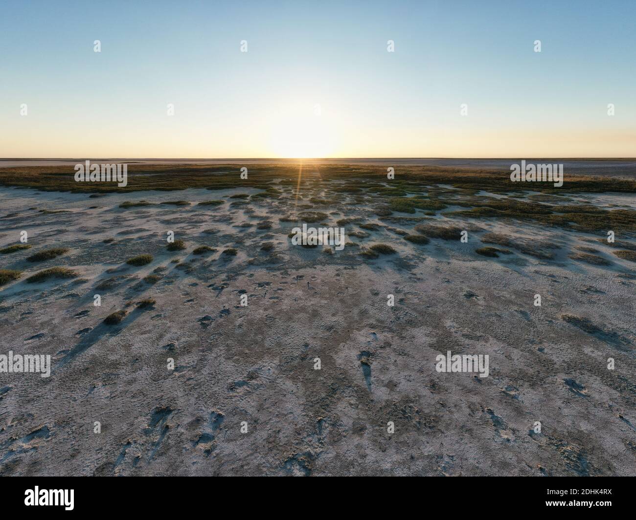 Top view of a sandy swamp with large patches of grass and bushes Stock ...