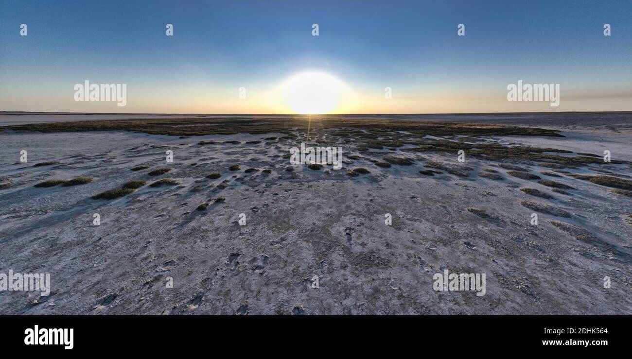Top view of a sandy swamp with large patches of grass and bushes Stock ...