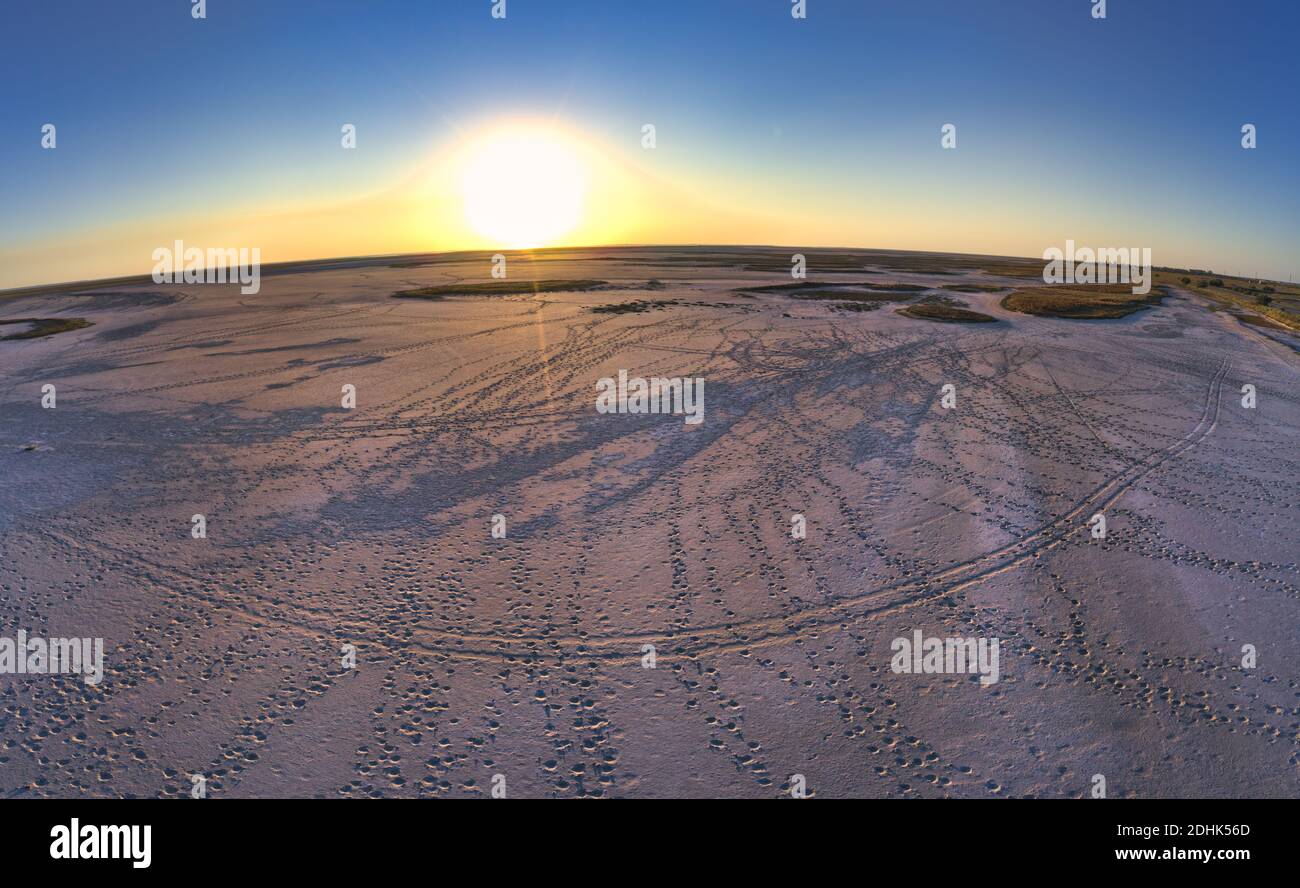 Top view of a sandy swamp with large patches of grass and bushes Stock ...
