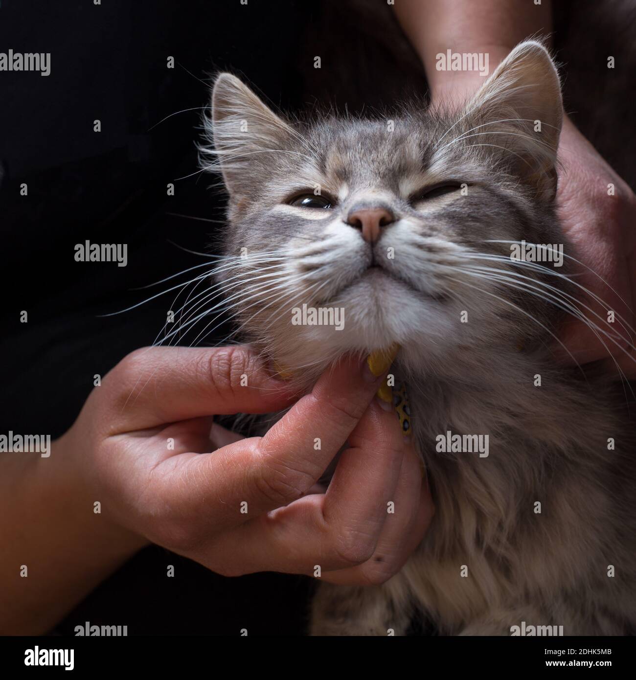 Peting hi-res stock photography and images - Alamy