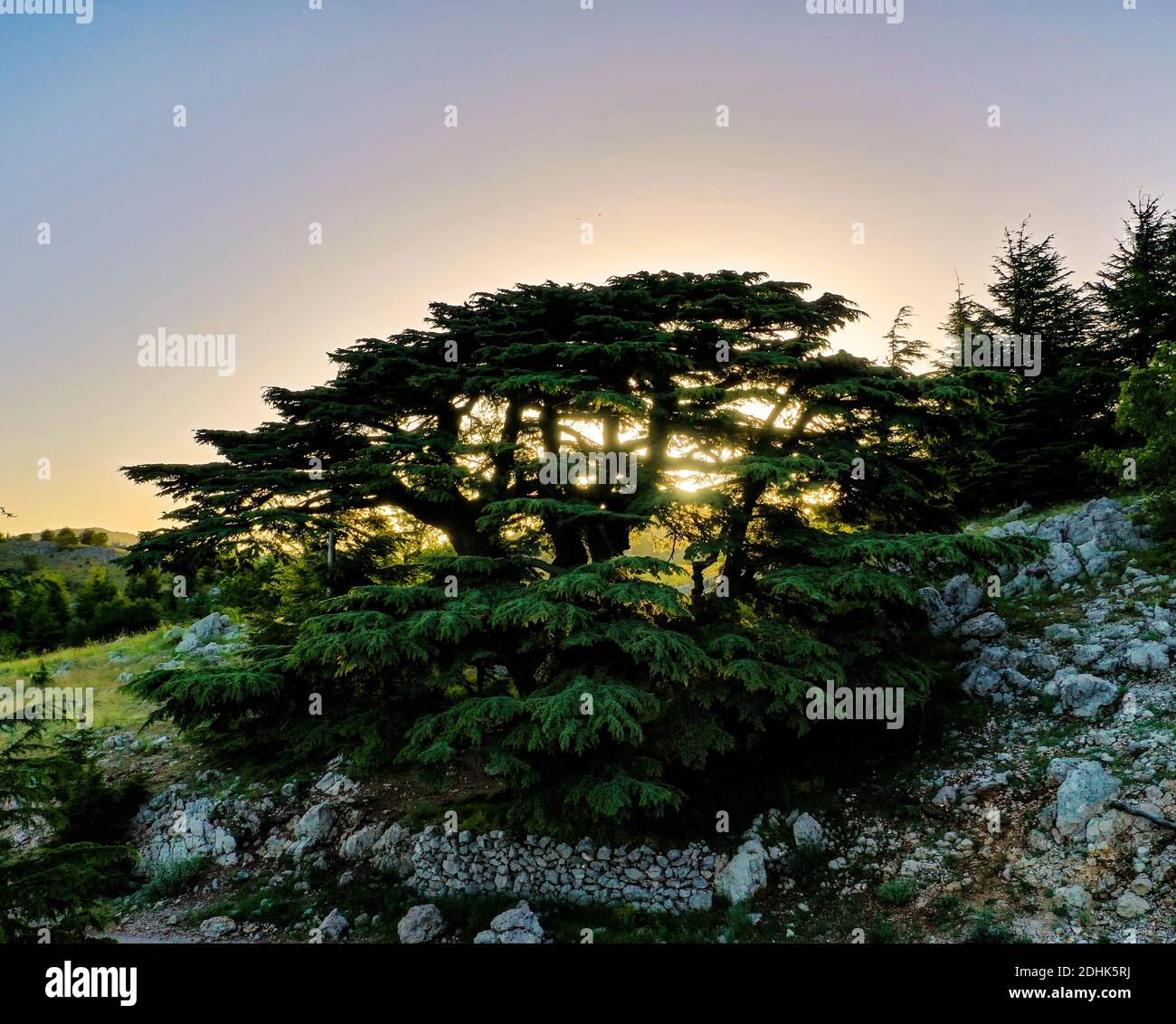 random photos from Lebanese nature beauty Stock Photo - Alamy
