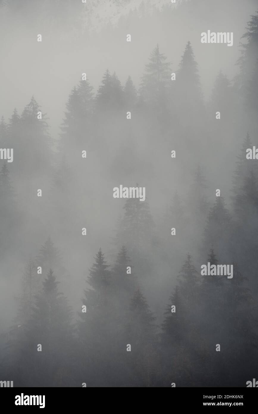 Fog pattern hi-res stock photography and images - Alamy