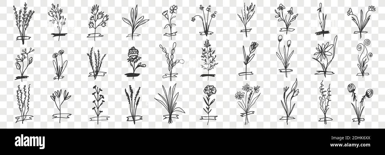Blooming plants doodle set. Collection of hand drawn blooming plants ...