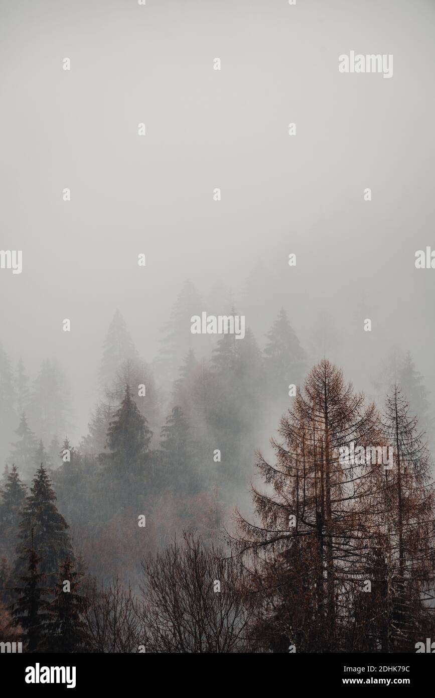 Fog pattern hi-res stock photography and images - Alamy