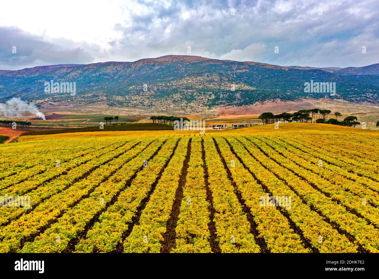 aerial photos for bekaa valley in Lebanon at autumn time Stock Photo ...