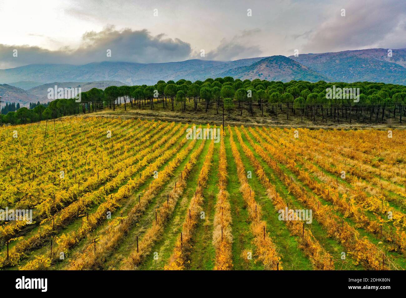 aerial photos for bekaa valley in Lebanon at autumn time Stock Photo ...