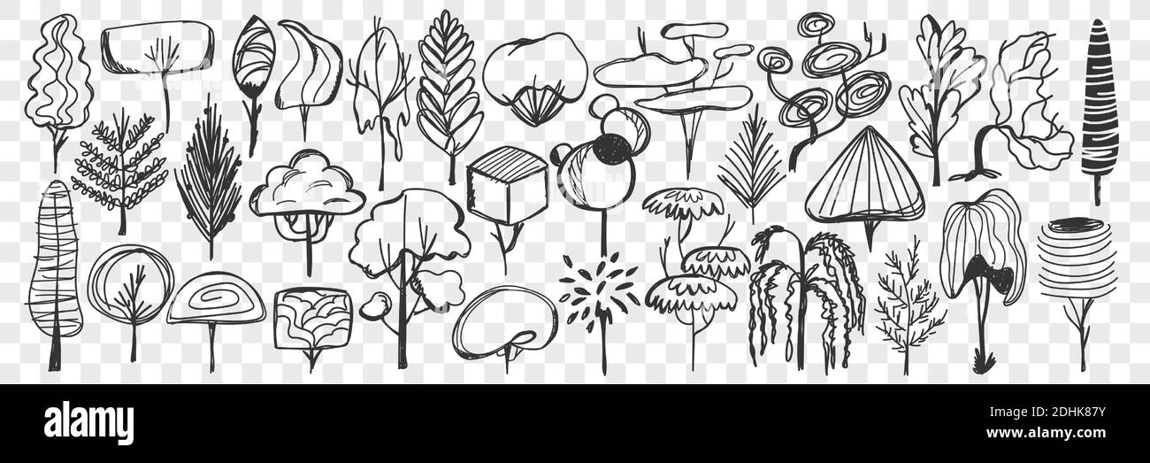 Trees doodle set. Collection of hand drawn deciduous and coniferous ...