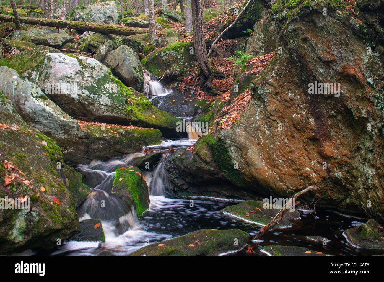 Stream over rocks in green hi-res stock photography and images - Alamy