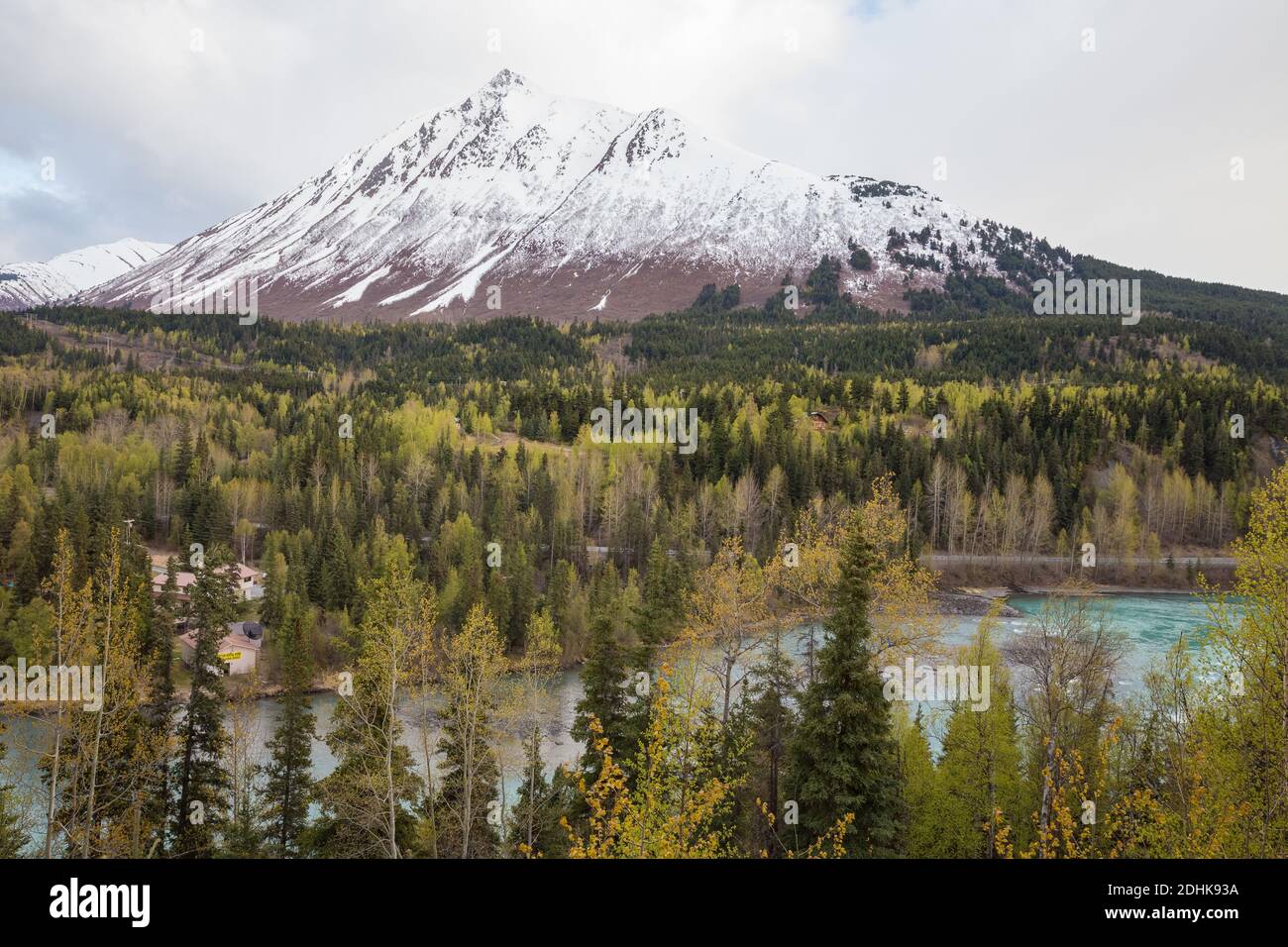 A beautiful shot of a river, fir trees, meadow, and high mountains in ...