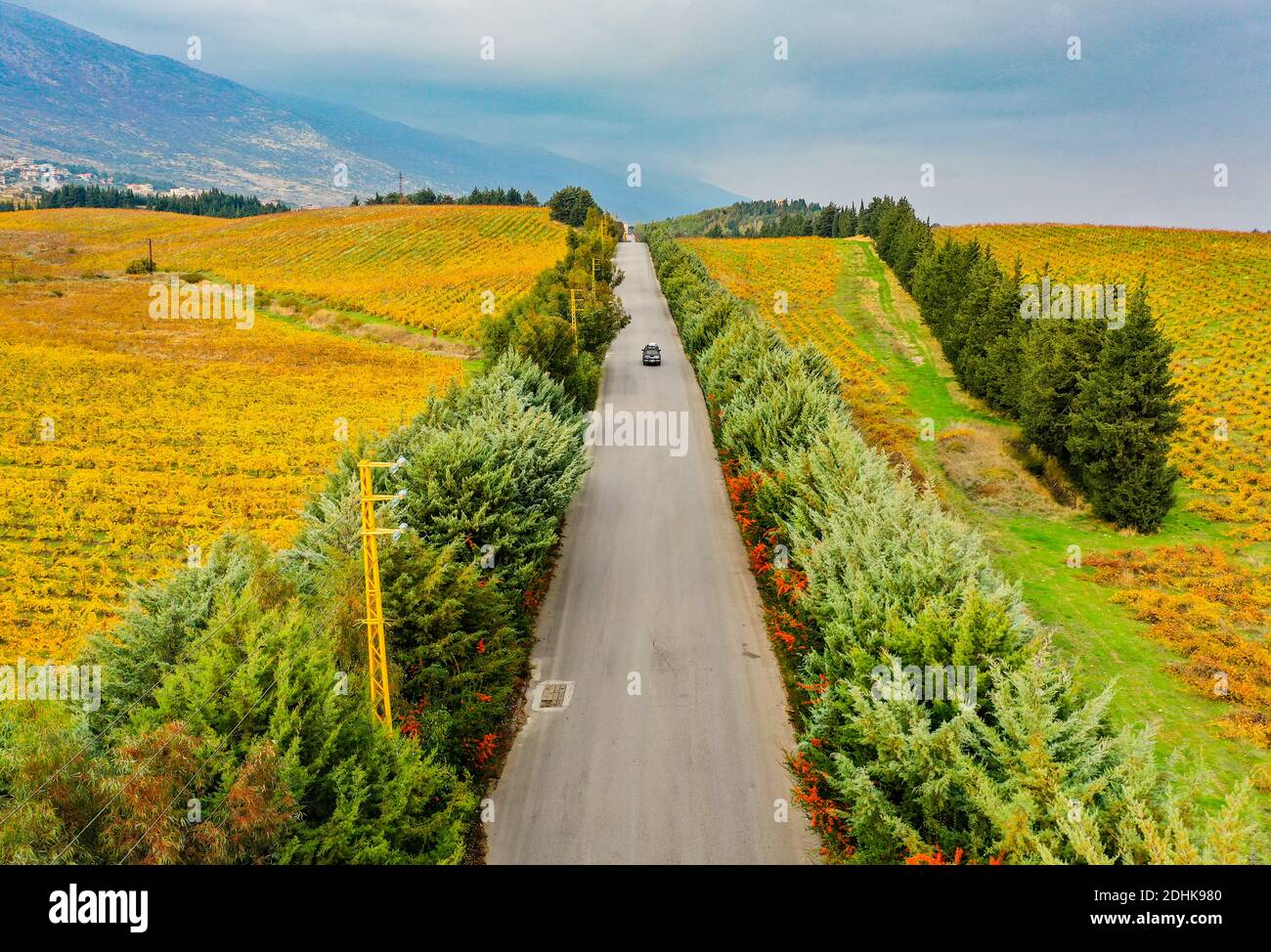 aerial photos for bekaa valley in Lebanon at autumn time Stock Photo ...