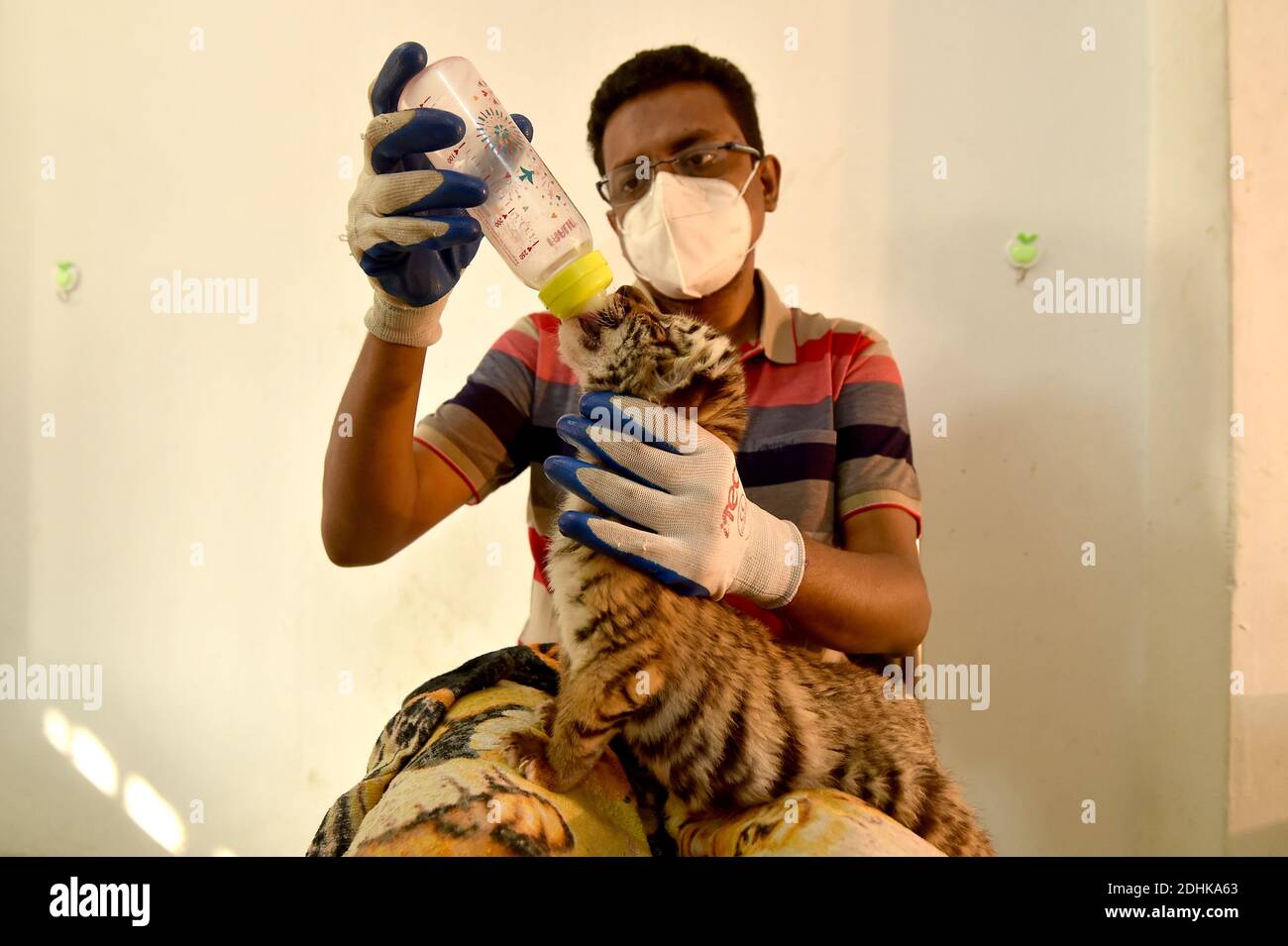 Zoo staff hi-res stock photography and images - Alamy