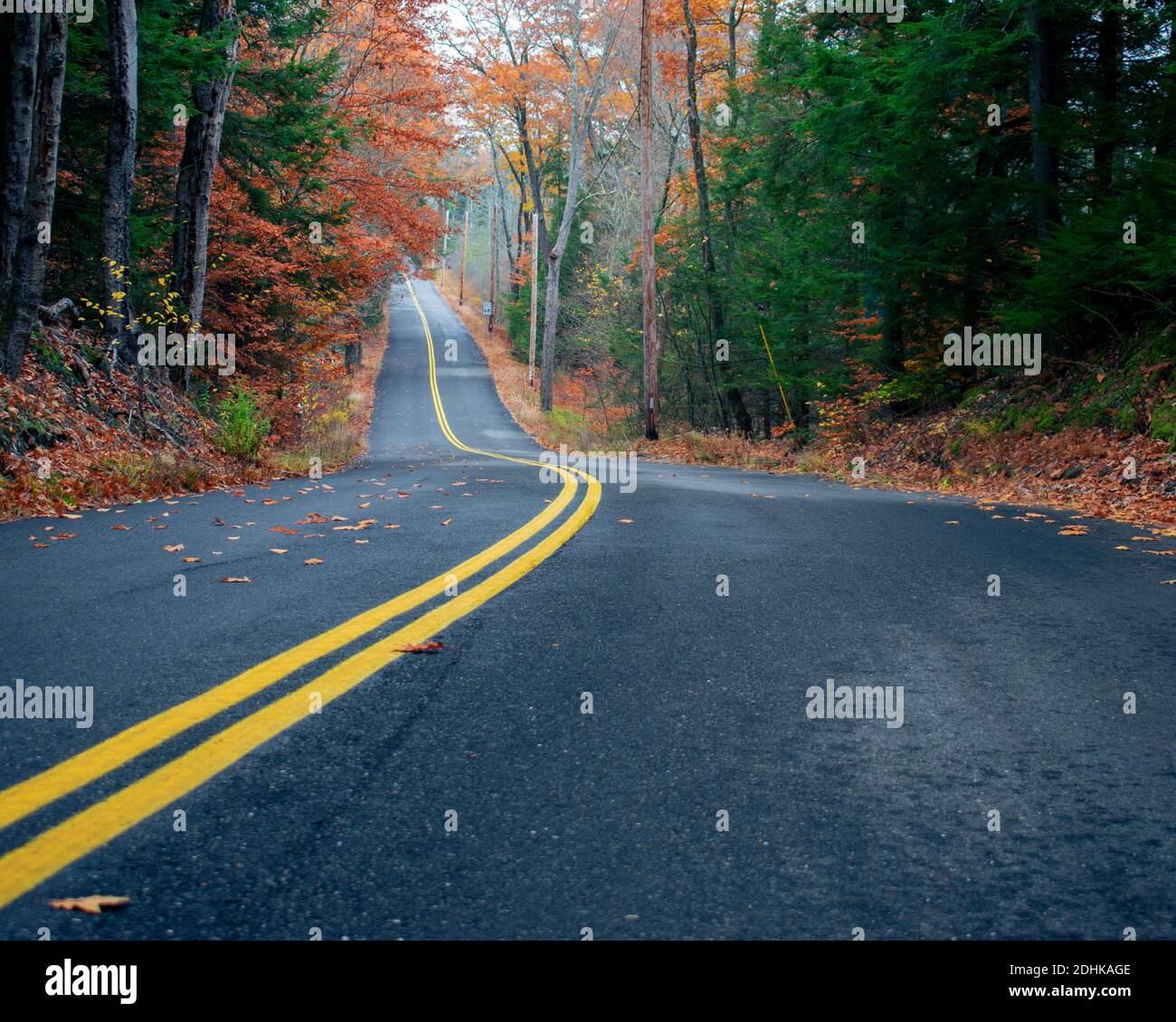 Long winding road hi-res stock photography and images - Alamy