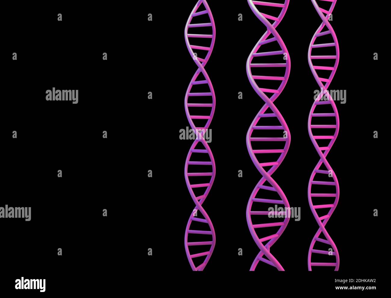 Purple DNA molecules structures isolated on black. Science and ...