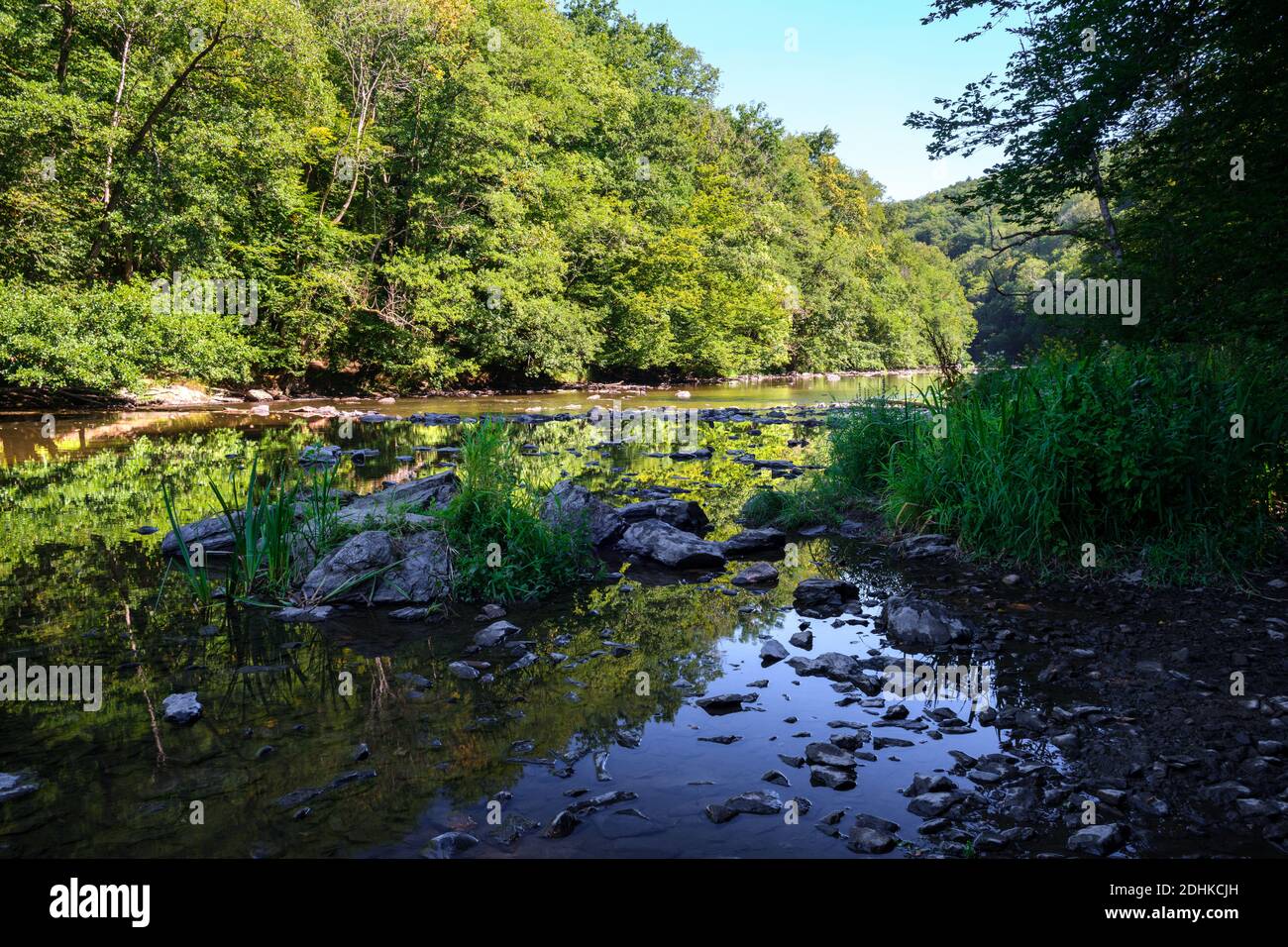 River in the forest. Nobody Stock Photo - Alamy