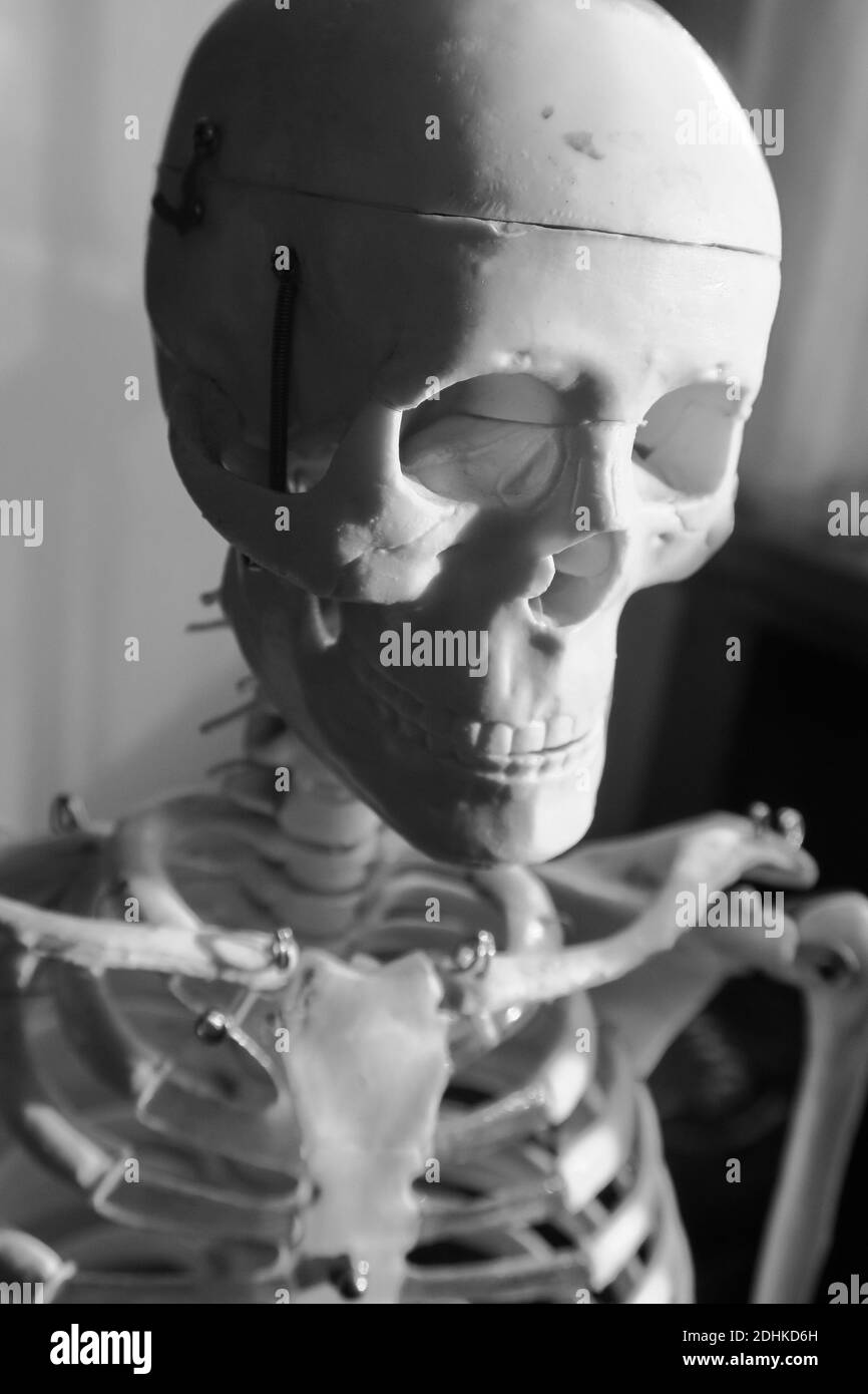 Dead skeleton Black and White Stock Photos & Images - Alamy