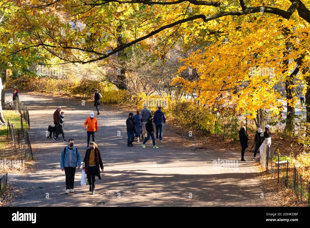 The Bridle Path in Central Park is a popular walkway, New York City ...