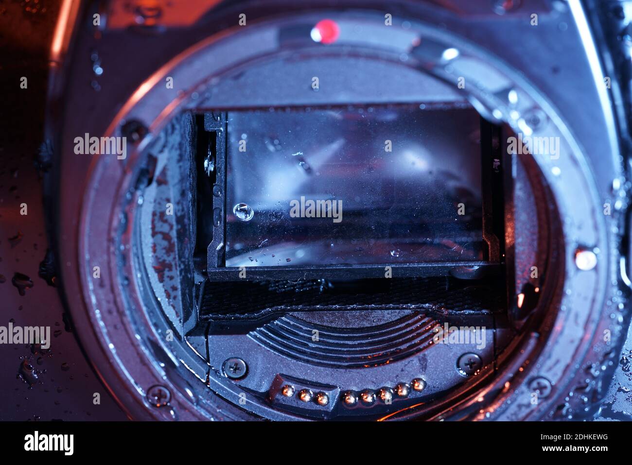 Mirror reflex camera hi-res stock photography and images - Alamy