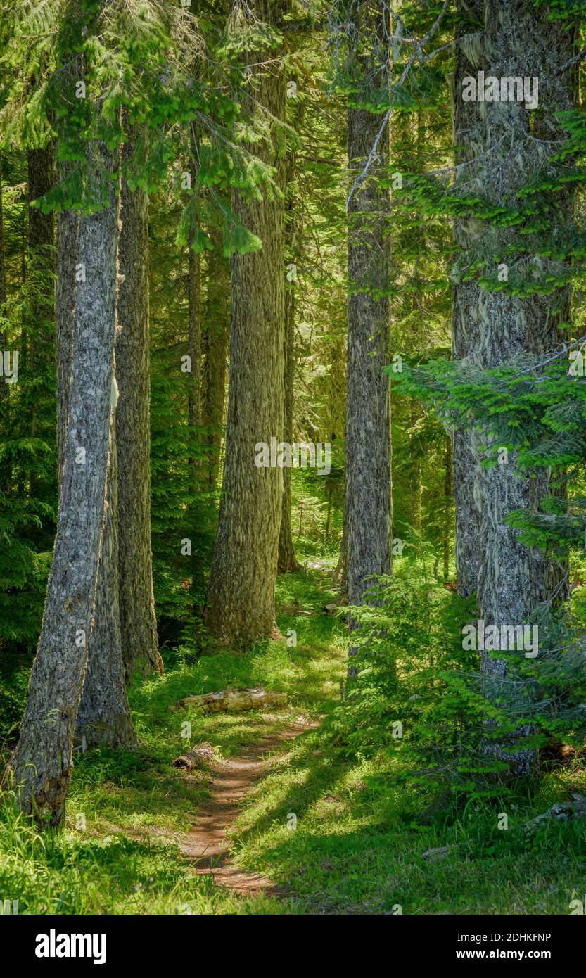 Patterson mountain trail hi-res stock photography and images - Alamy