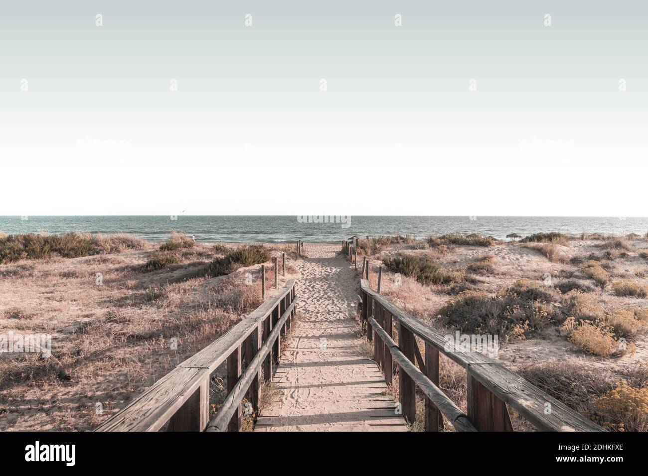 Wooden plank path in Punta Umbria. It crosses a pine forest and ends at ...