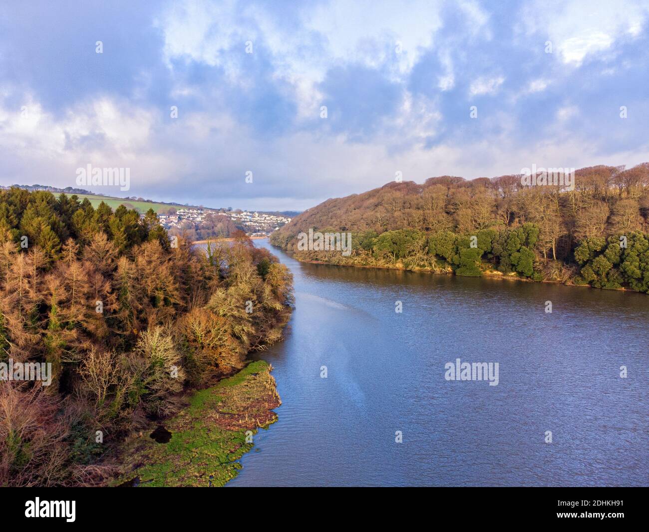 aerial drone of wood trees and forest cornwall England uk Stock Photo ...