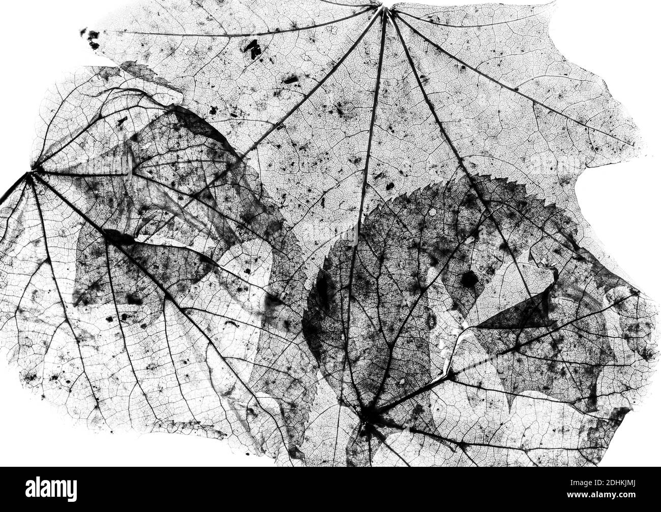 Fragile structures hi-res stock photography and images - Alamy