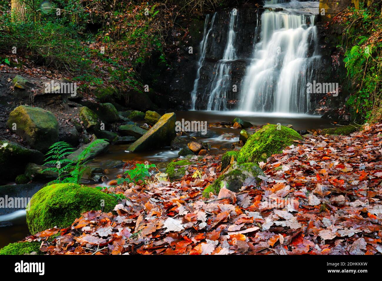 Tiger clough waterfall hi-res stock photography and images - Alamy