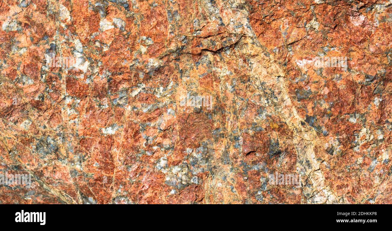 A top view shot of an interesting texture of a rock in a forest Stock ...