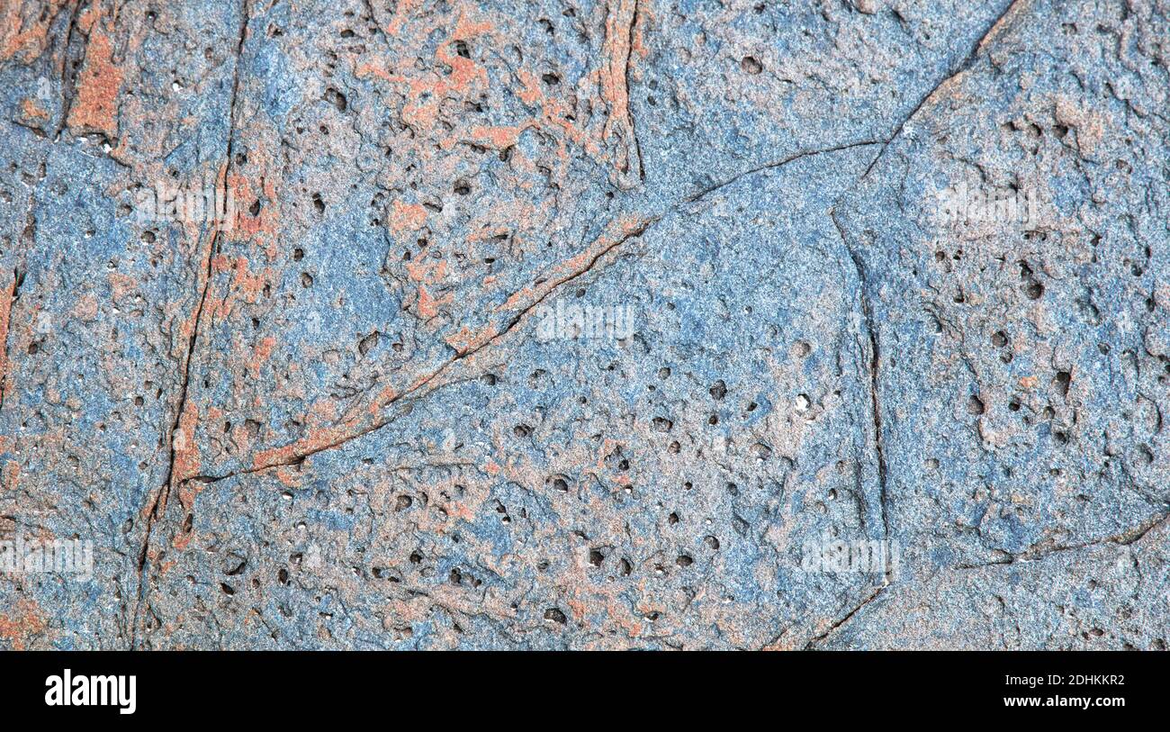 A top view shot of an interesting texture of a rock in a forest Stock ...