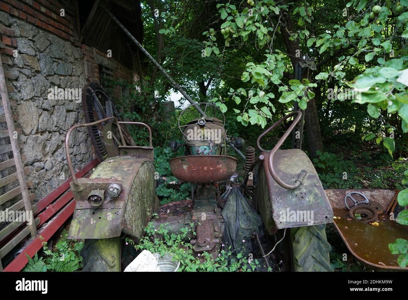 Abandoned place in summer photographed with natural light Stock Photo ...
