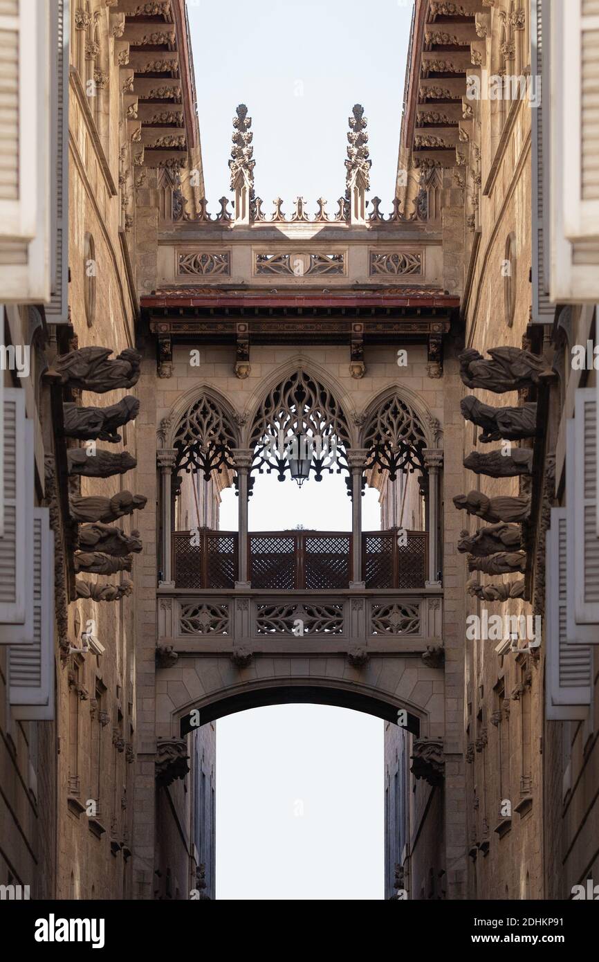 Elements of architectural decorations of buildings, arches and columns ...