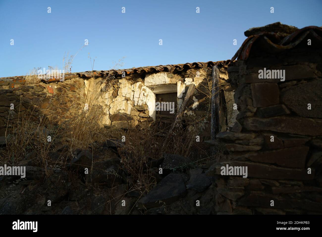 Abandoned place in summer photographed with natural light Stock Photo ...