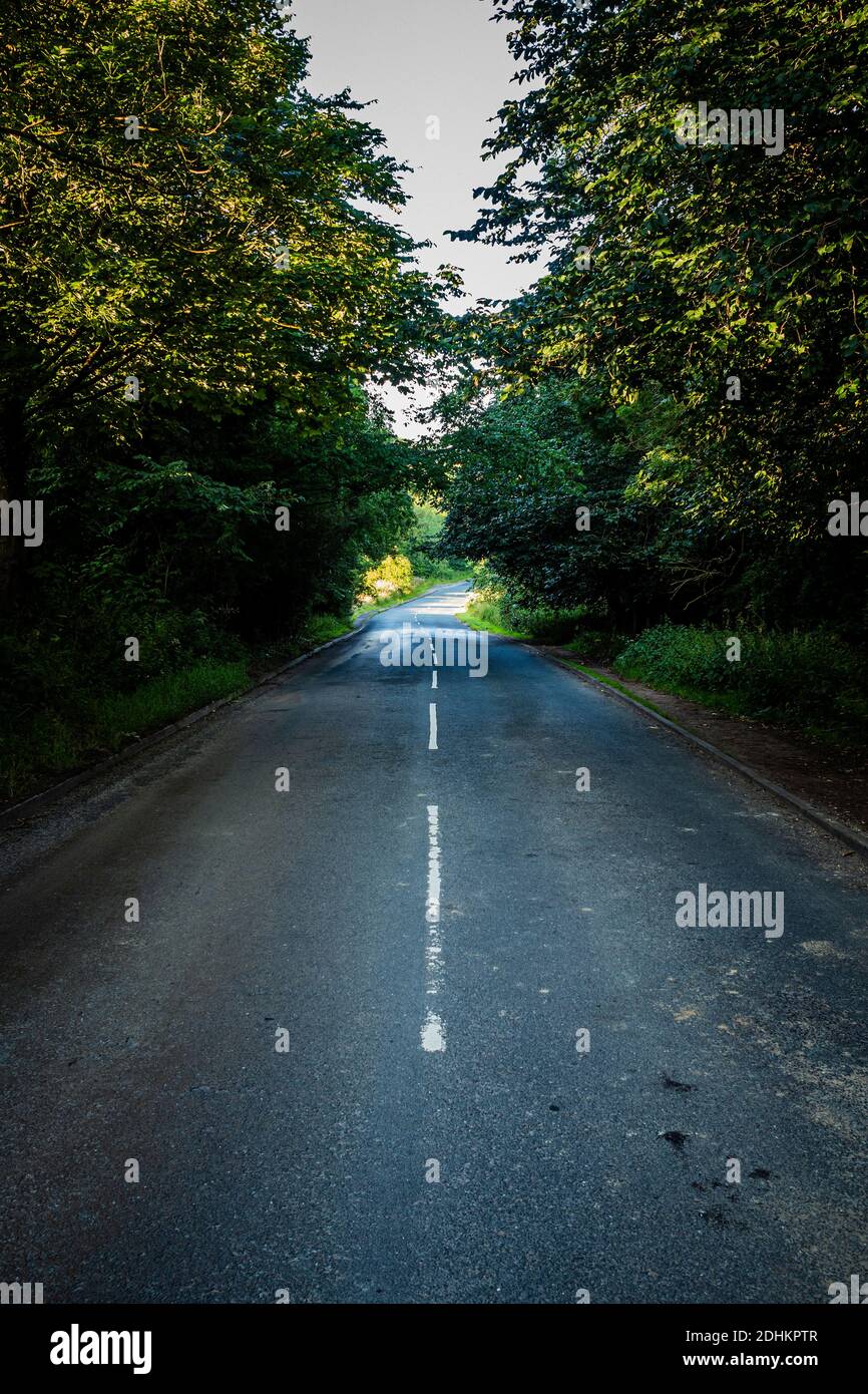 A straight rural road with trees on both sides Stock Photo - Alamy