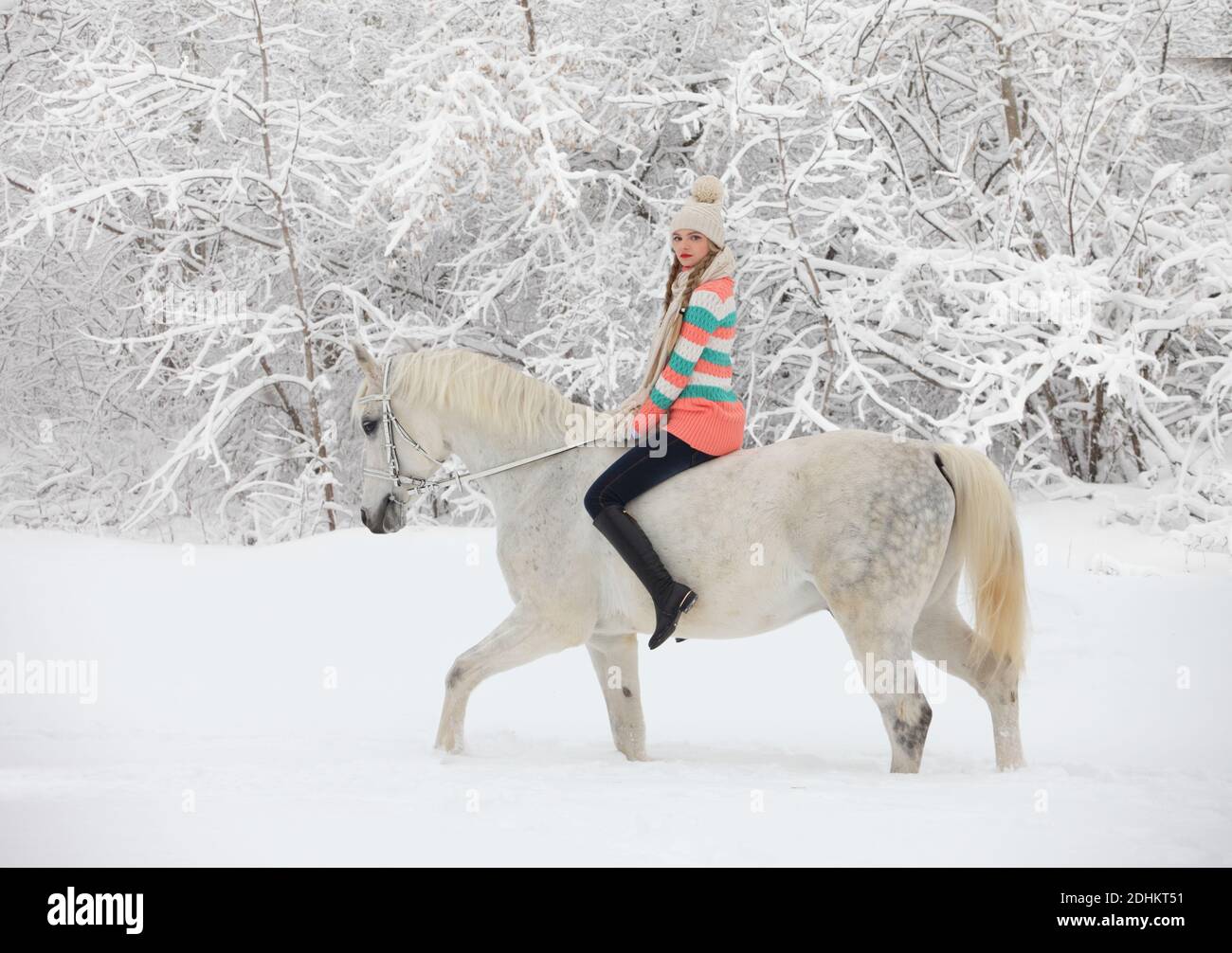 Woman Girl Riding Bareback High Resolution Stock Photography and Images ...