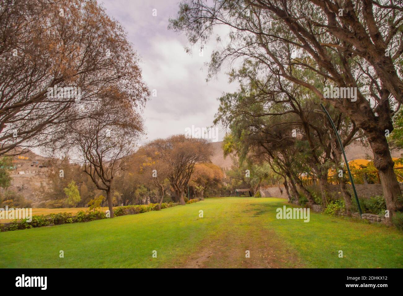 Beautiful trees in place hi-res stock photography and images - Alamy