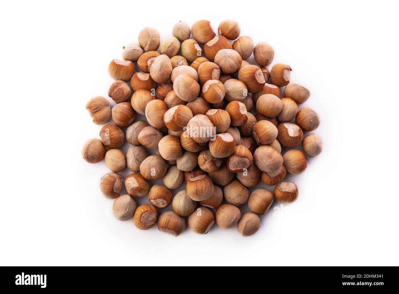 Hazelnuts isolated on white background Stock Photo - Alamy