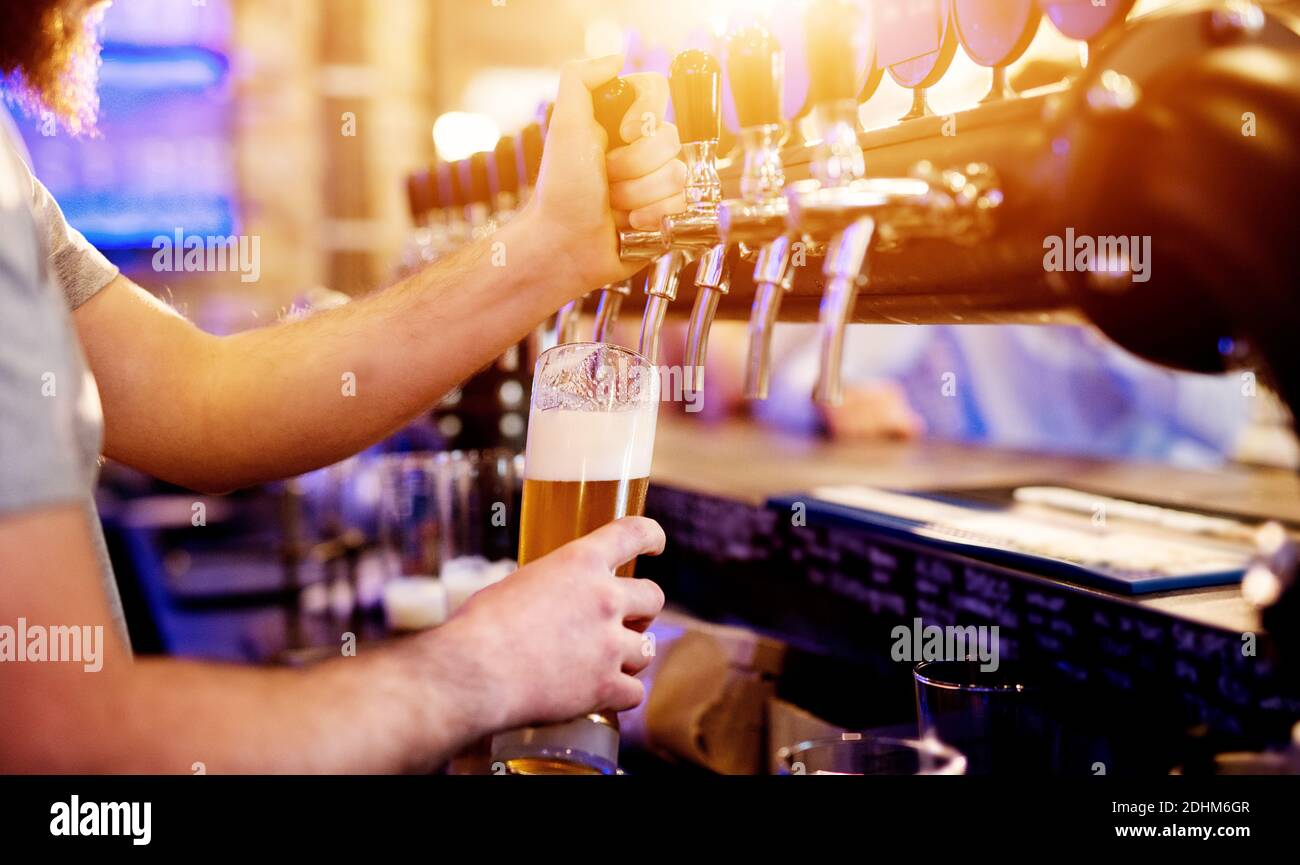 Focused professional bartender pouring draft beer in the modern bar ...