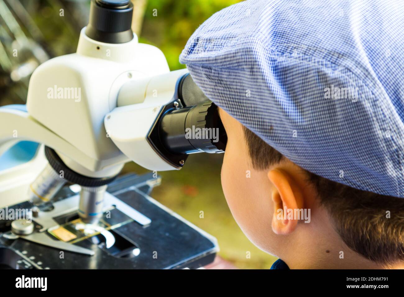 Boy child looking into a microscope at an exhibition Stock Photo - Alamy