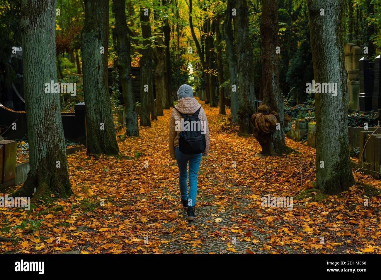 Memory lane cemetery hi-res stock photography and images - Alamy