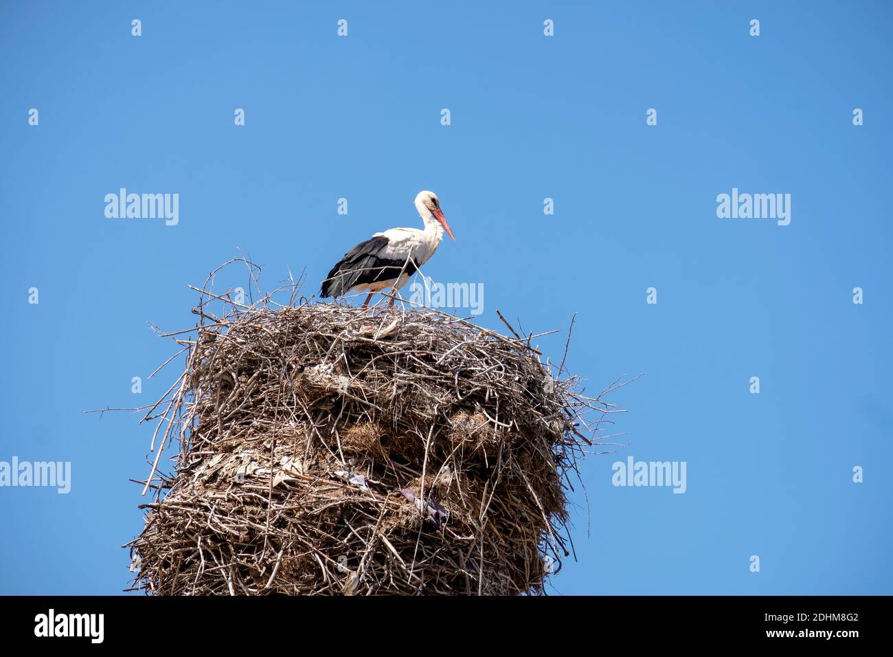 Stork in its nest, on top of historical tower in In the Phrygian valley ...