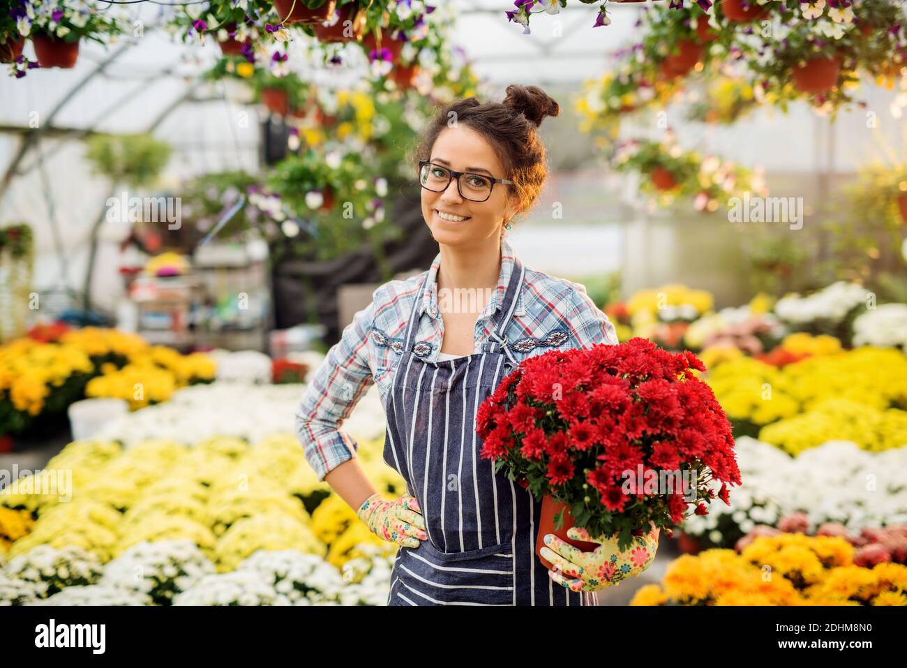 Beautiful pretty florist woman posing with red flowers in the colourful ...