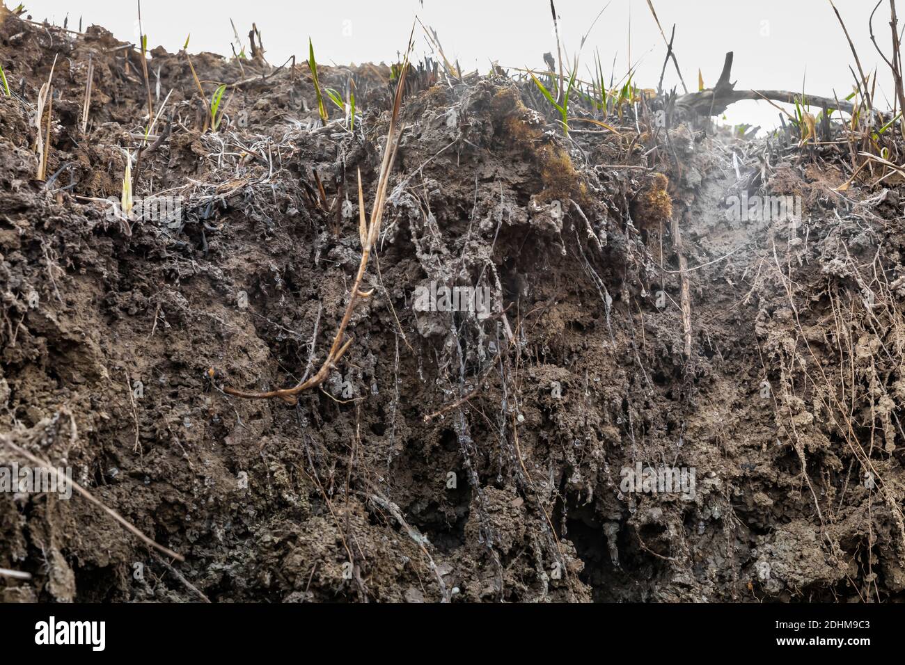 Faint traces of smoke from a coal seam fire burning underground ...